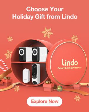 Lindo Pro Video Doorbell Battery – Lindo-Ultra Bright 600-Lumen ...